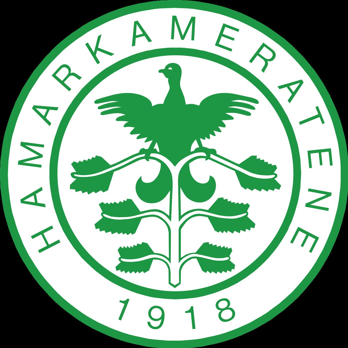 FKH, Fotball | Følg HamKam - FKH direkte her