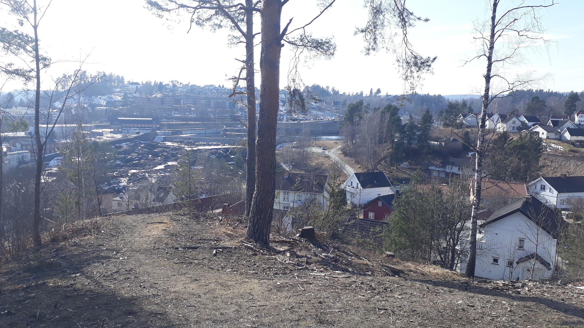 Direkte linje, Ringerike | Direkte linje i Ringerikes Blad